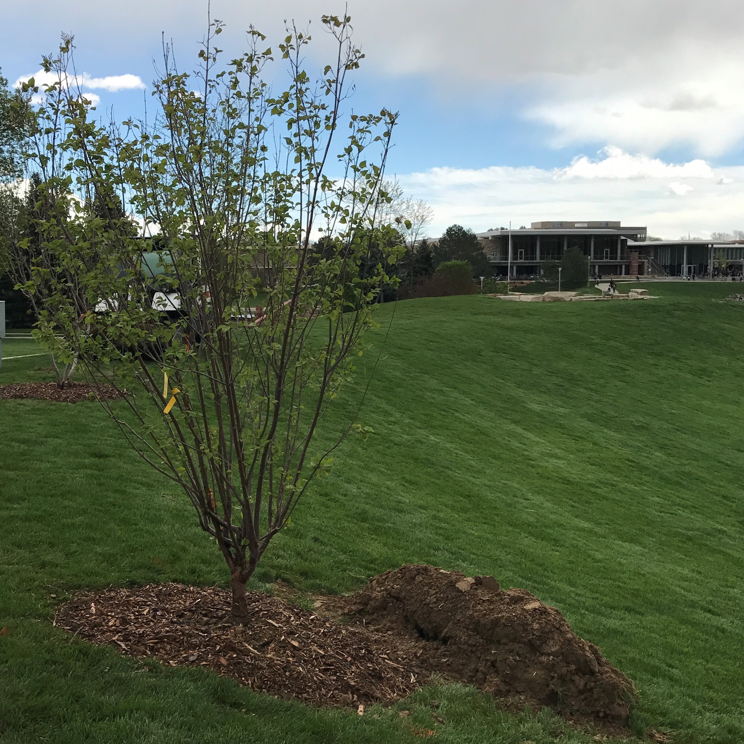 Campus Arboretum at CSU | Facilities Management | Colorado State University